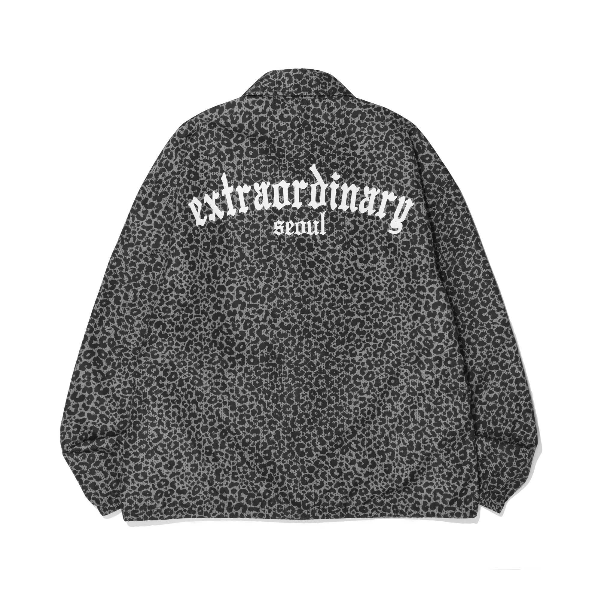 엑스트라오디너리