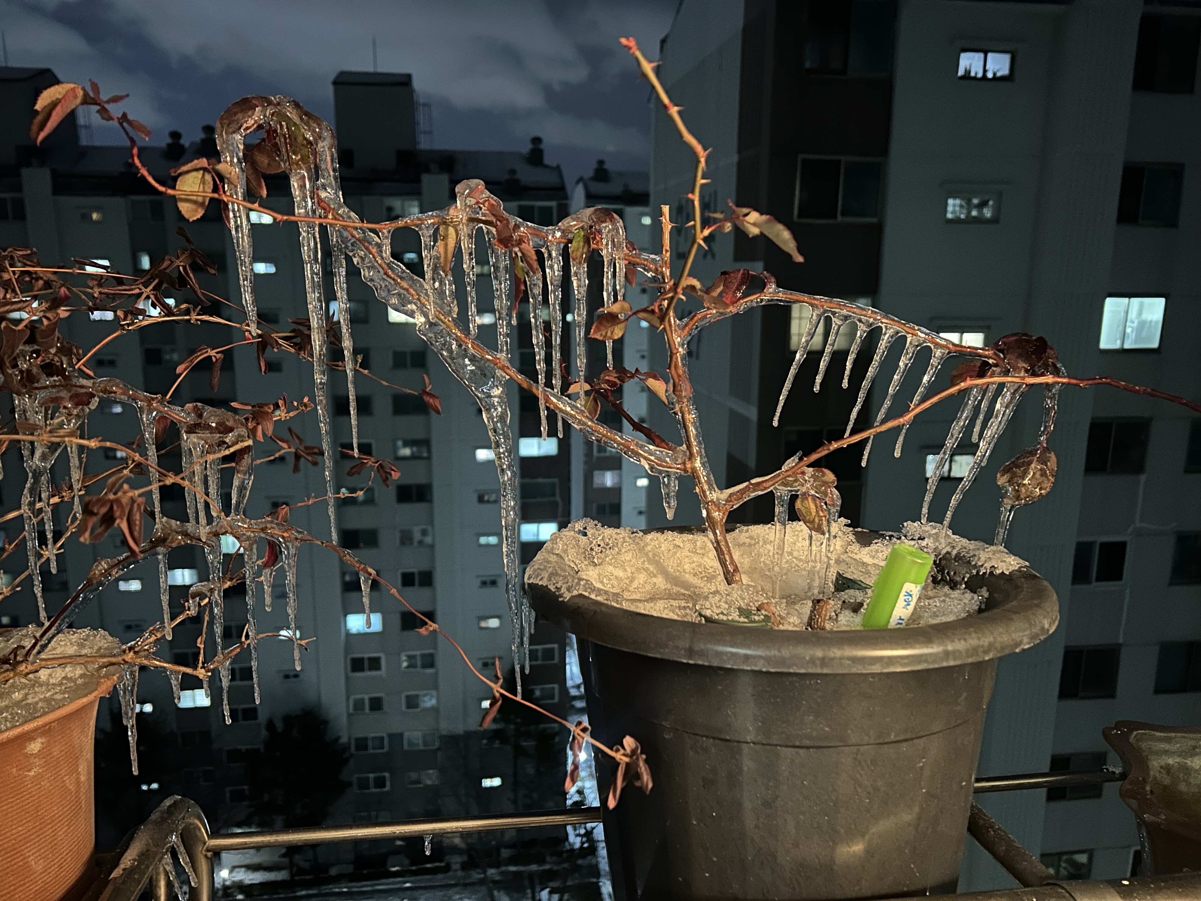 커피박물관 카페뮤제오