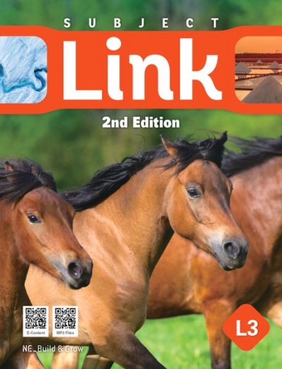 Subject Link 3 2nd Edition