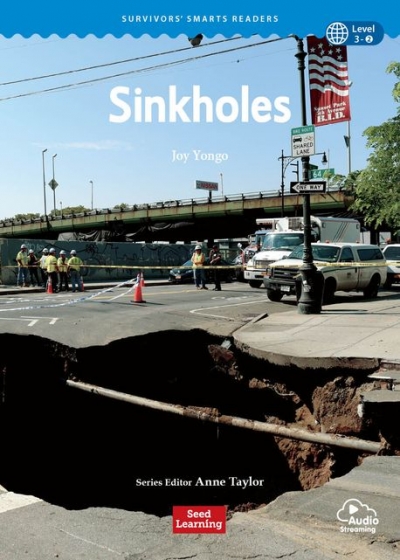 Sinkholes isbn 9798886681161