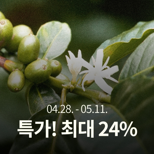 엠아이커피 - 생두 쇼핑몰