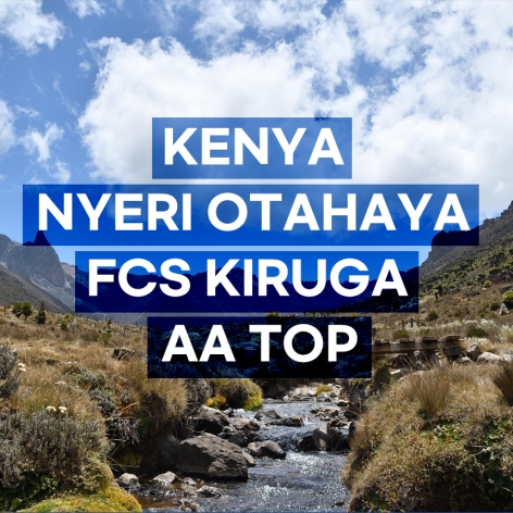 커만사 사업자몰